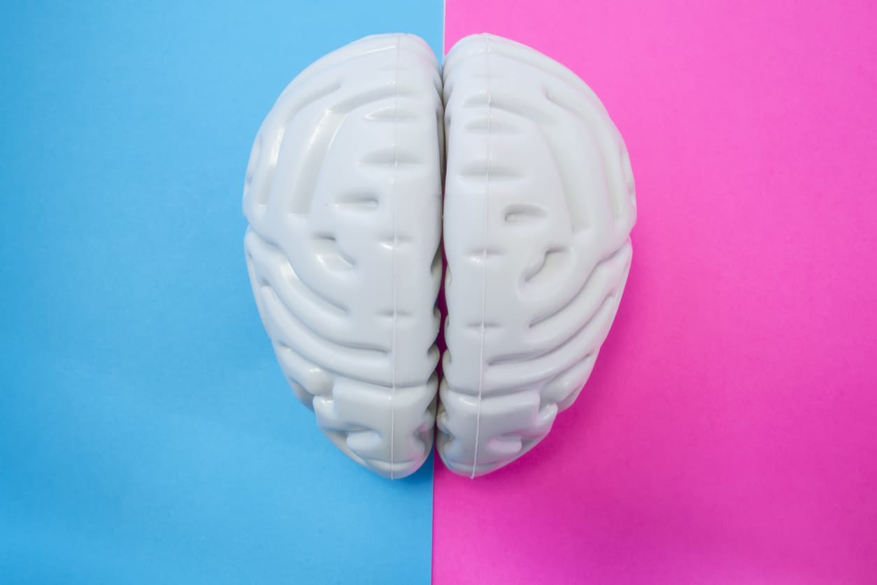 Fungsi Otak Besar (Cerebrum) Berdasarkan Bagian-Bagiannya | HonestDocs