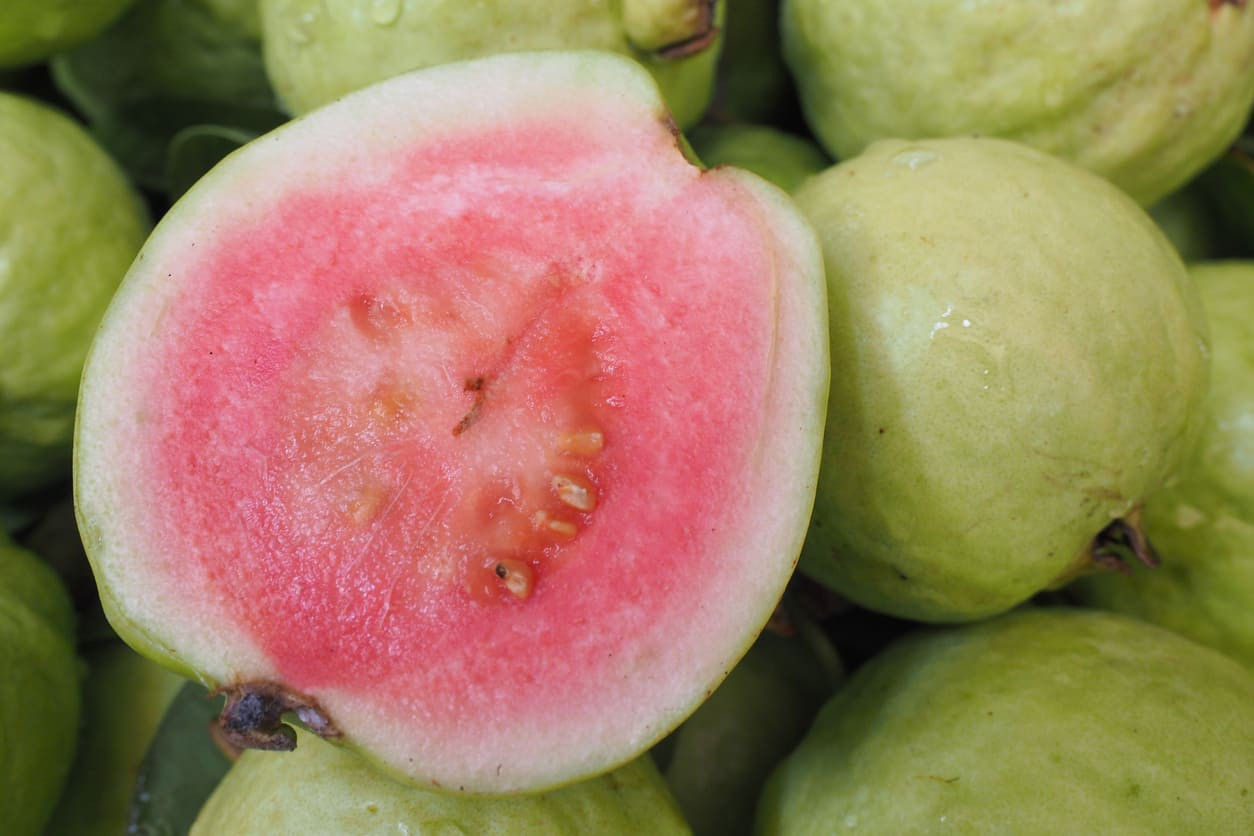 6 Manfaat Jambu Biji Untuk Kesehatan Tubuh Anda | HonestDocs